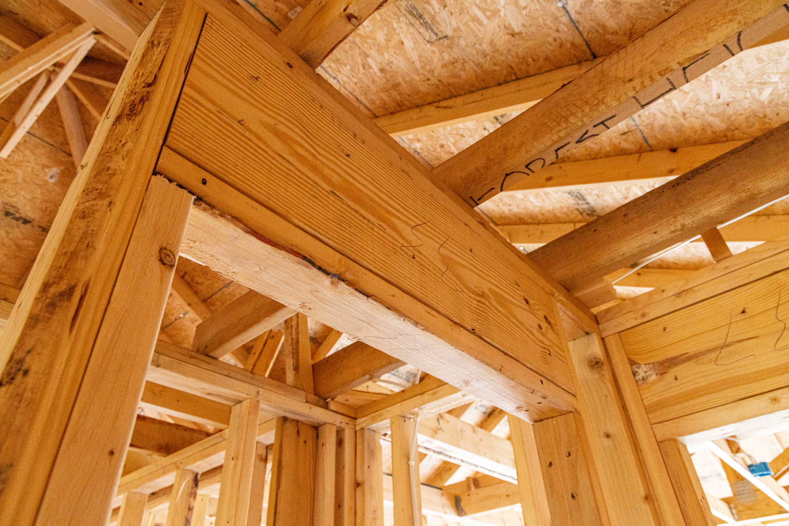 Construction Process - A Look Inside | Bussell Building